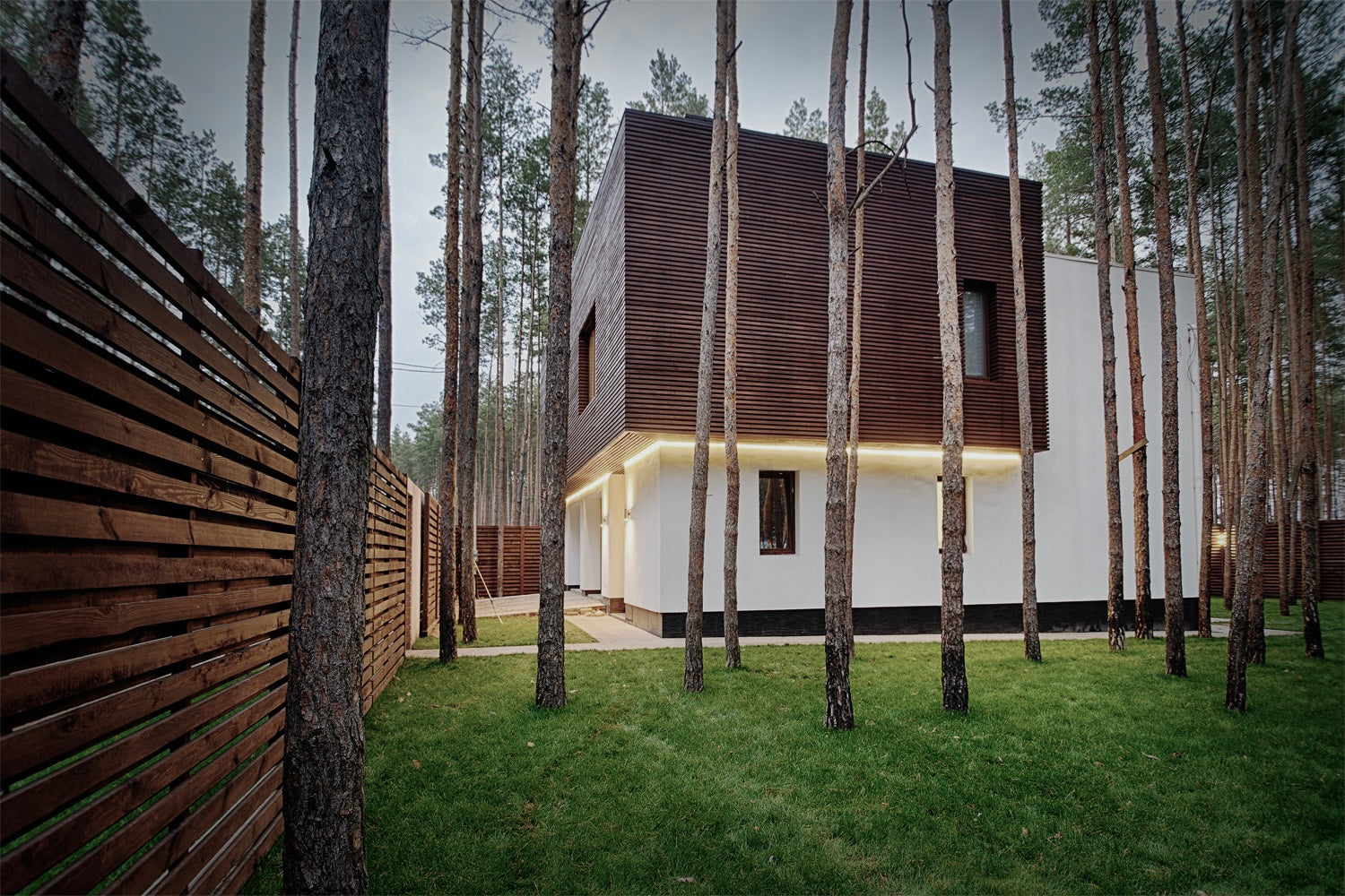 CUBE - Victoria Yakusha